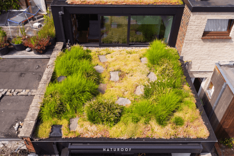 Semi-intensief groendak in centrum Gent | Naturoof